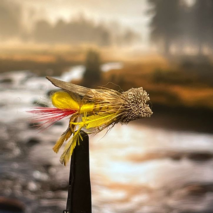 Golden Tippet Fly Co. Fly Shop